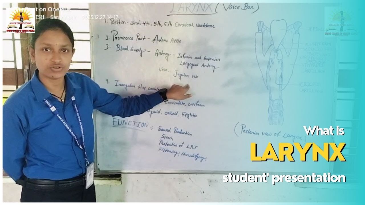 Larynx (Voice Box) Anatomy & Function // Divine college of health ...