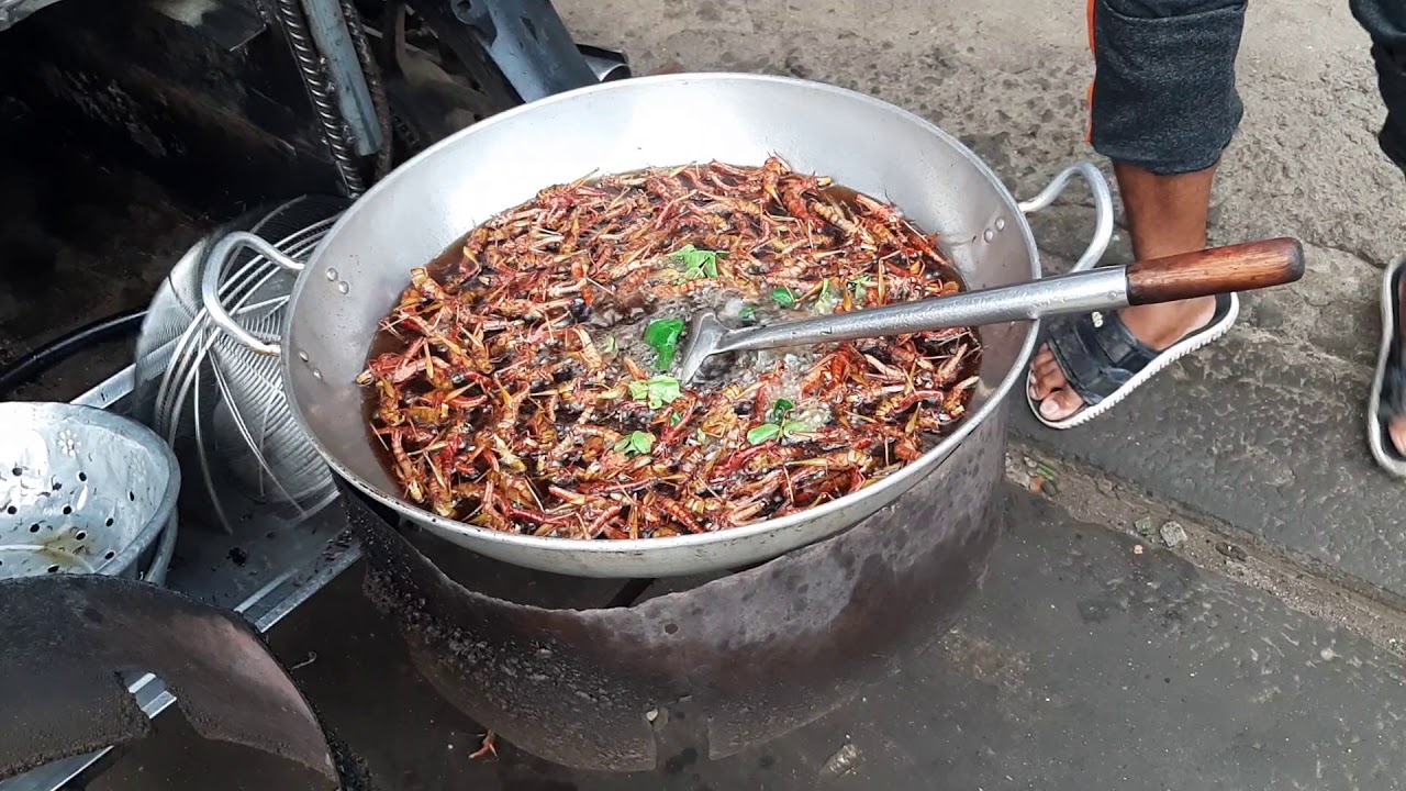 street food miniature Grasshopper fried - YouTube