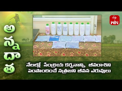 Nitrogen fixing biofertilizers for improving organic carbon & microbial ...