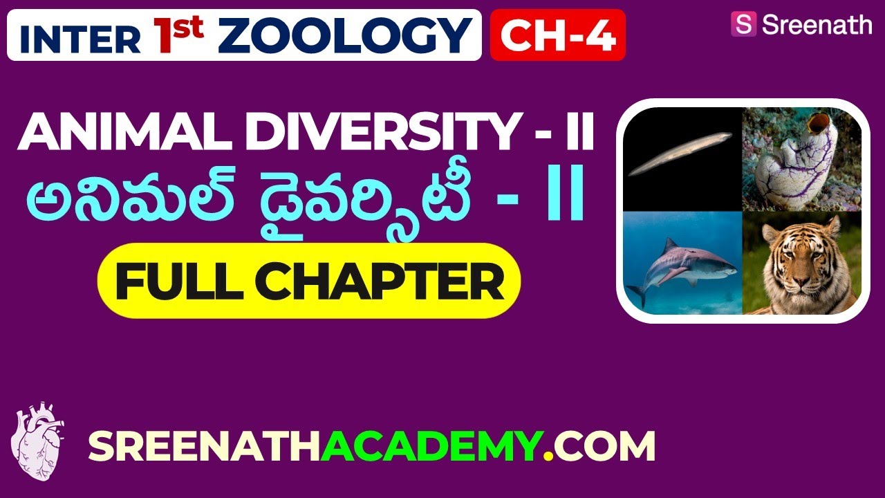 Animal Diversity-II PYQs - Inter 1st Year Zoology Ch 4 (TS & AP) - YouTube