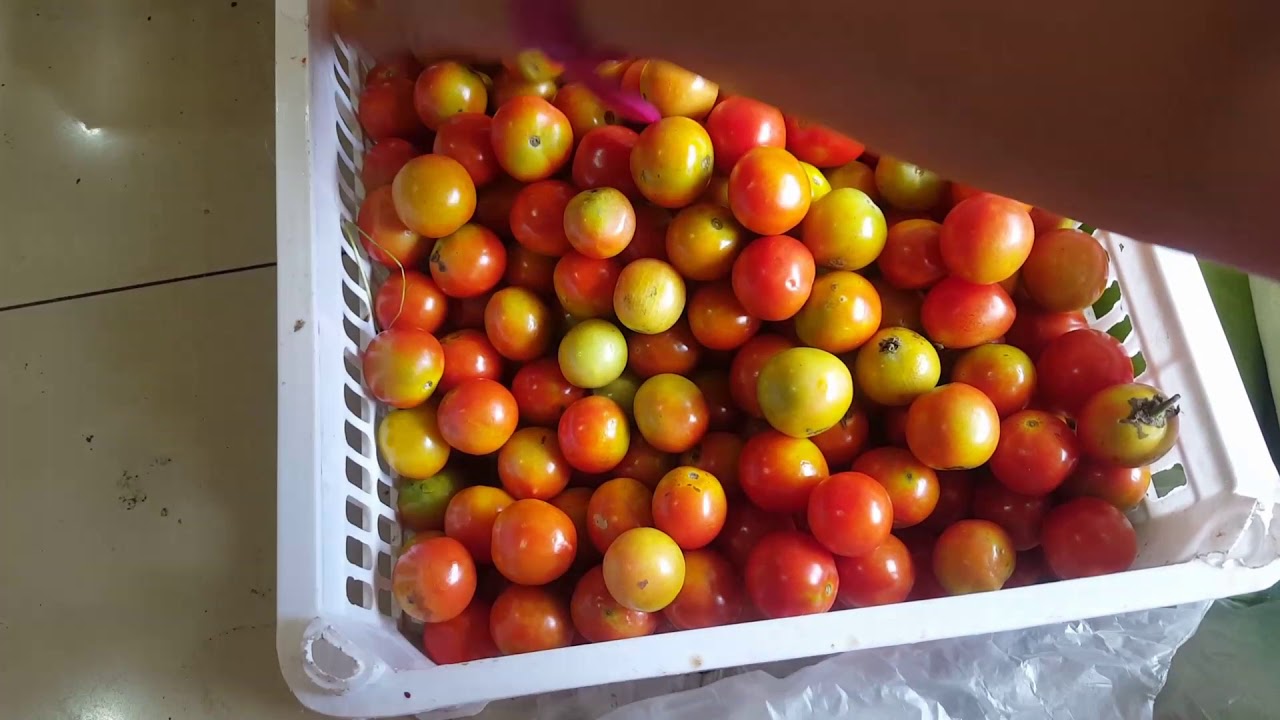 Shopping for vegetables +gala sa palengke/ Vlog /# 106 - YouTube