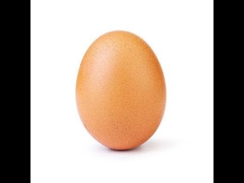 Dünyanın en çok beğenilen fotoğrafı