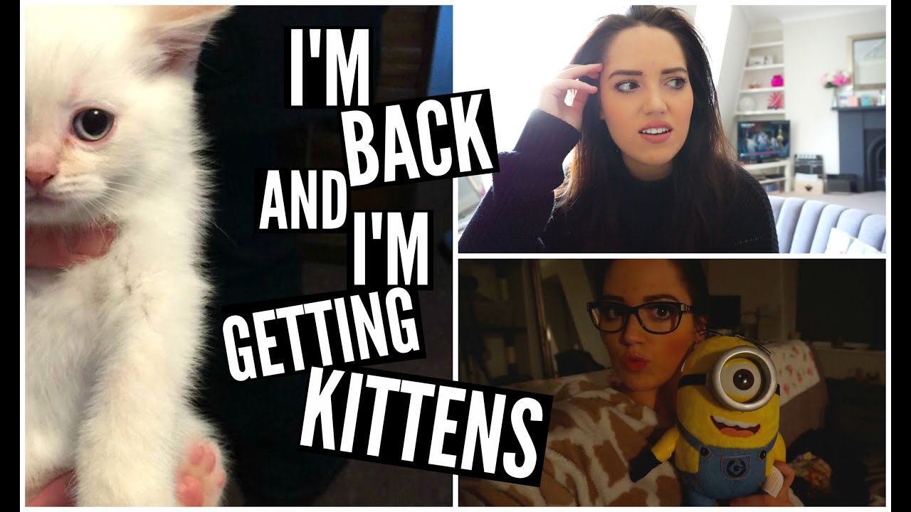 I'm Back And I'm Getting KITTENS! - YouTube