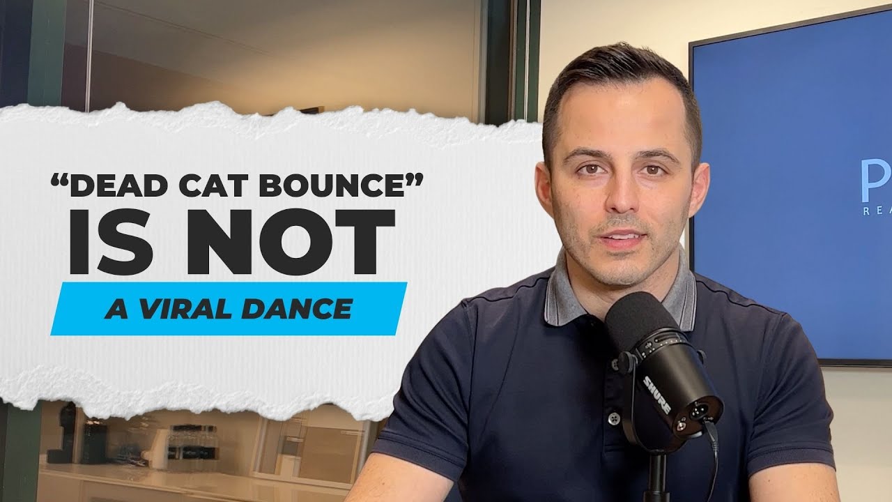 Propel Market Commentary: What is a “Dead Cat Bounce”? - YouTube