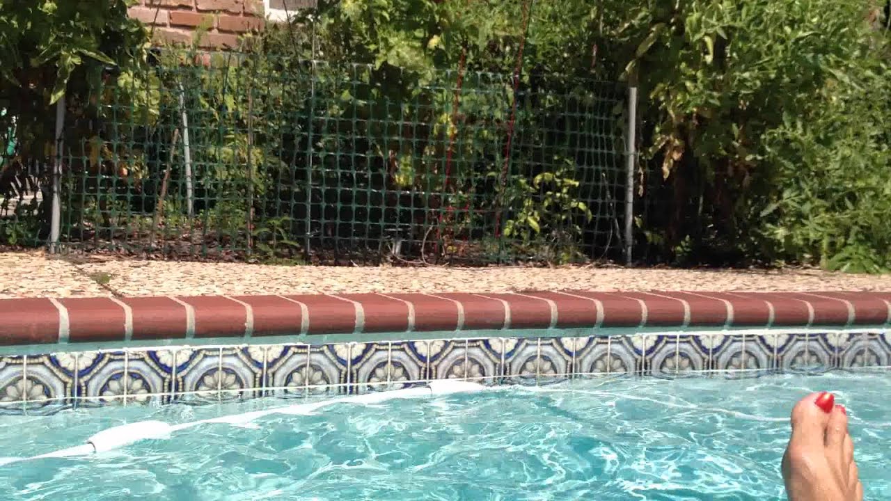 Heidi's Pool Tour, Part 1 (It's Never Too Hot in Houston!) - YouTube