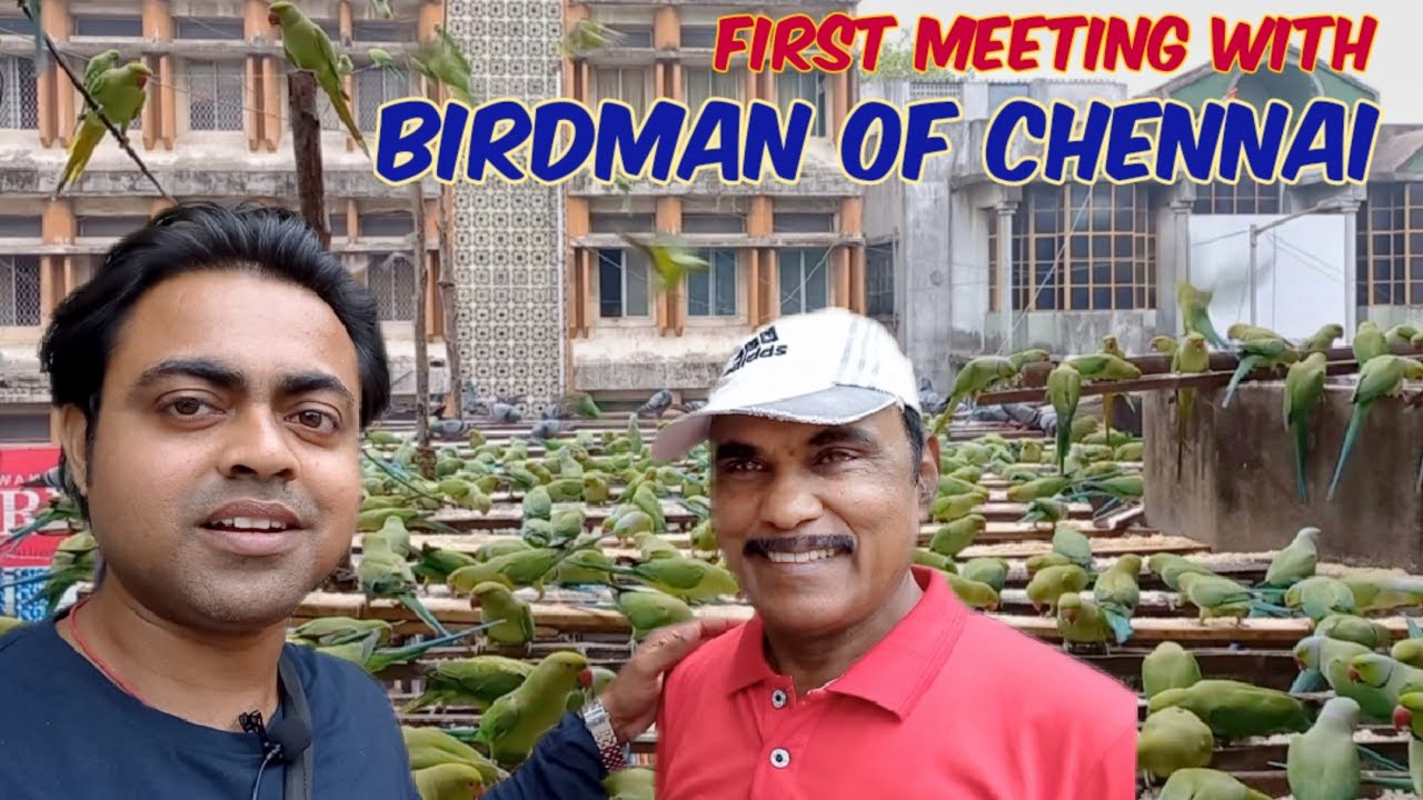 Exclusive Interview with Birdman of Chennai |Man who feeds 5000 parrots ...