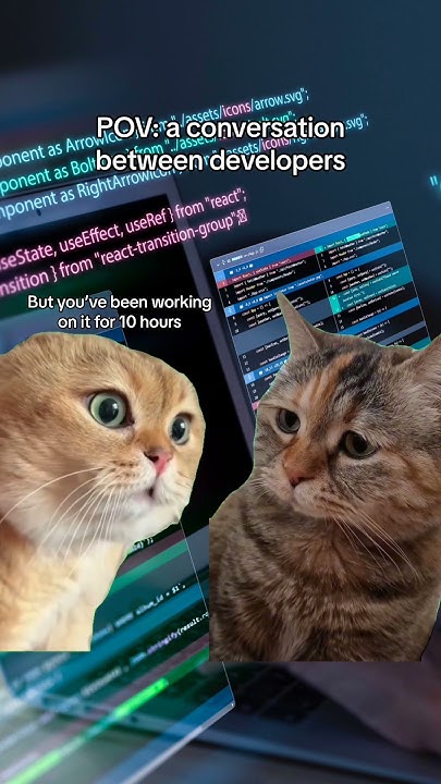 daily developer’s life… #shorts #memes #webdev #programmer #developer #conversation - YouTube