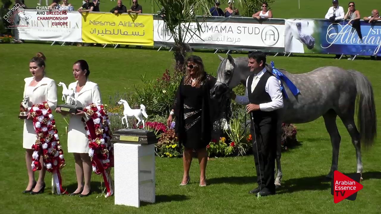 1R PLACE SN.31 DA ALIHANDRA - Chantilly 2017 European BC - Fillies ...