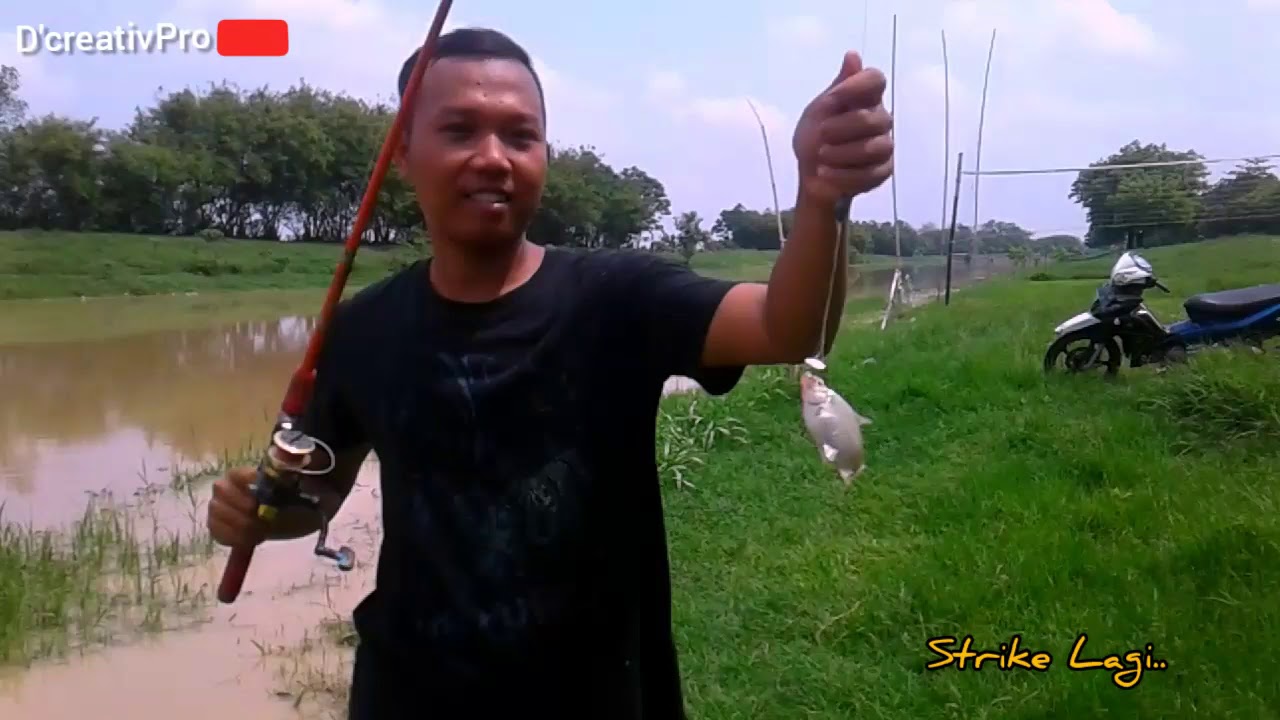 #Vlog_Mancing || Mancing Di Sungai Wakanda Ikan Tawes/wader Kali SinduPraja || Part 2 - YouTube