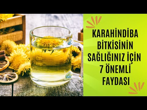 KARAHİNDİBA BİTKİSİNİN SAĞLIĞINIZ İÇİN 7 ÖNEMLİ FAYDASI