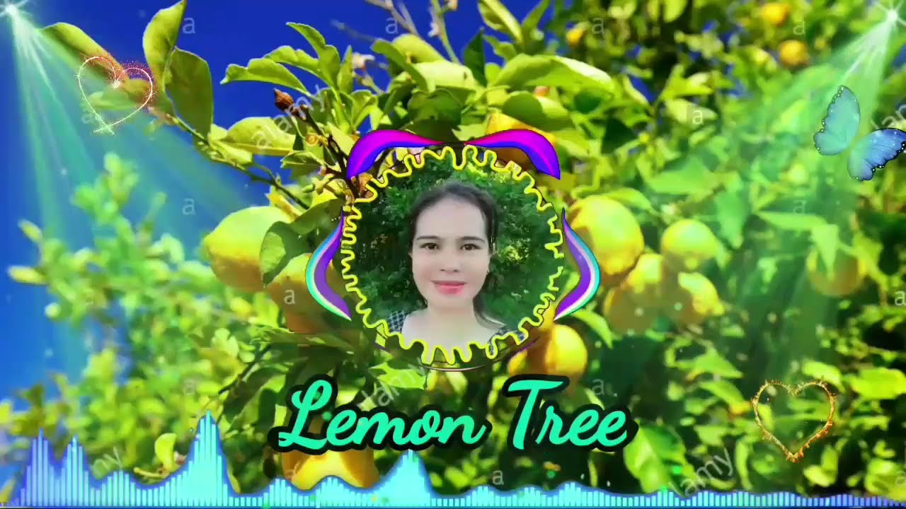 Lemon Tree Remix || Non Copyright Music //Shaikris - YouTube