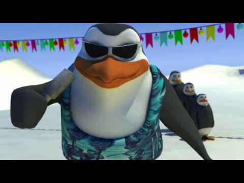 Schiffie & Co - Pinguin Tanz