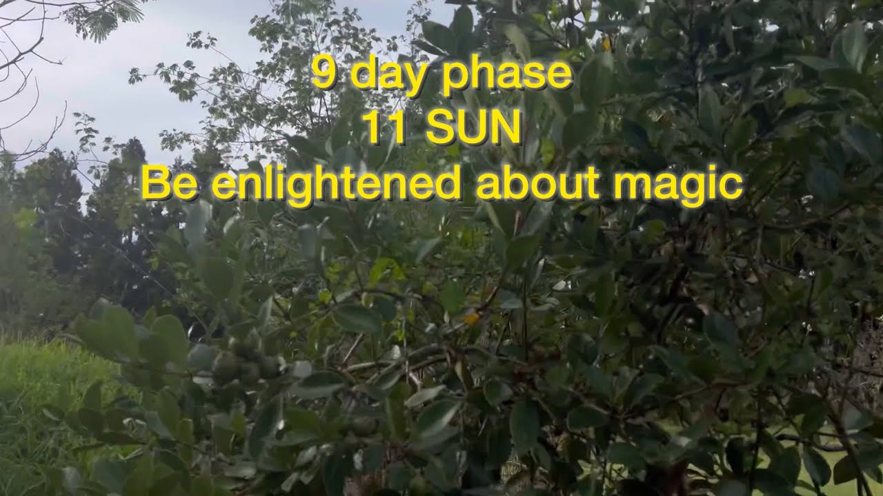 11 SUN 9 day phase - enlightenment about magic causes nefarious to ...
