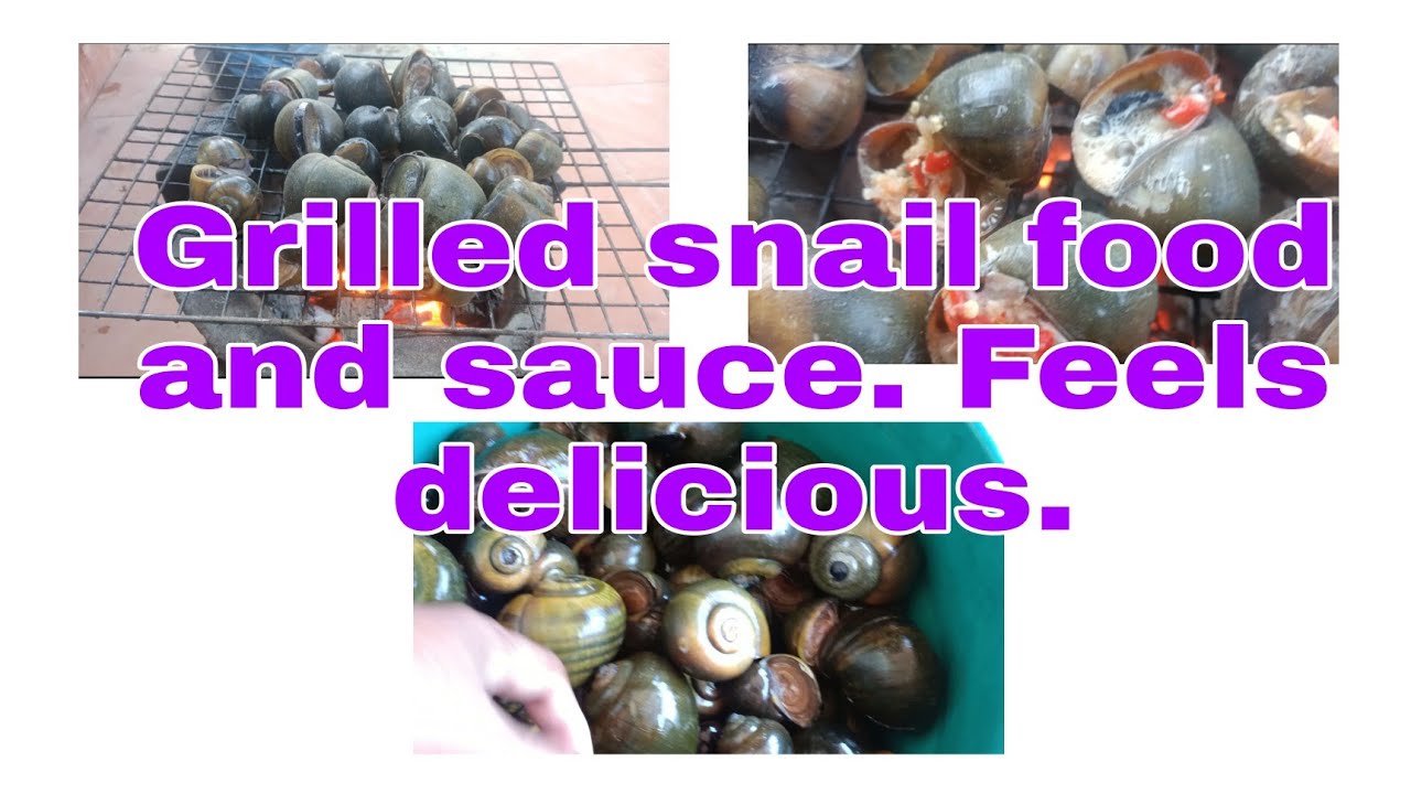 Grilled snail food and sauce. Feels delicious.ម្ហូបខ្យងអាំងនិងទឹកច្រលក់ ...