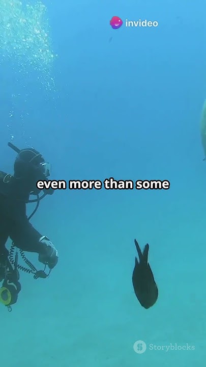 Why Exploring the Ocean Remains One of Earth's Greatest Challenges ...