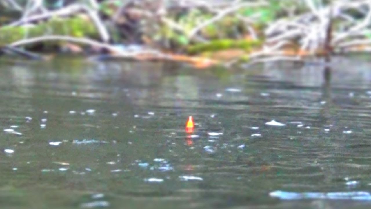 2022 Fall STEELHEAD BOBBER DOWNS - Set up and Rig! - YouTube