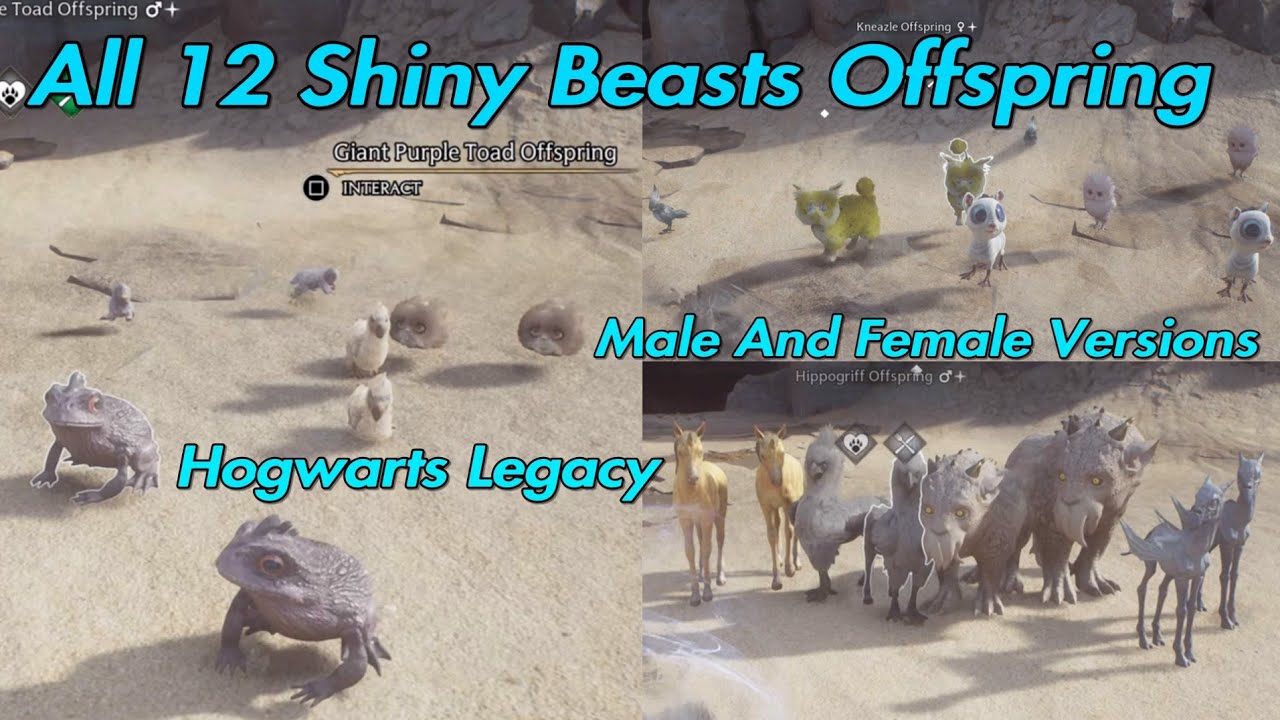 Hogwarts Legacy All 12 Shiny Beasts Offspring Male And Female hogwarts-legacy-all-12-shiny-beasts-offspring-male-and-female