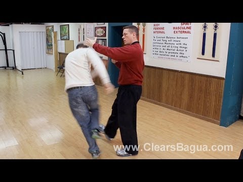 Bagua - Continuous Whole Body Power