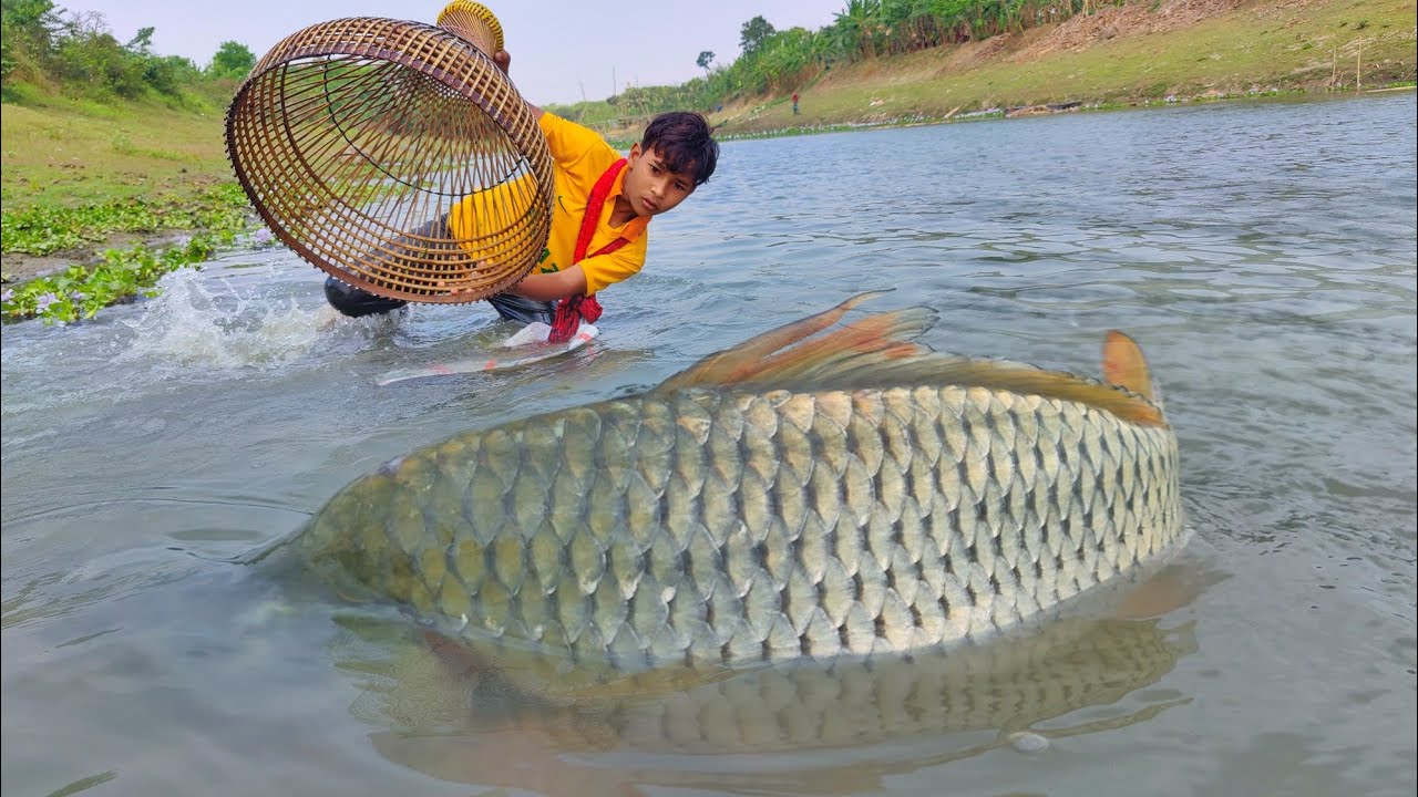 Best Polo Fish Hunting Video | Traditional Village Fishing By Polo In ...