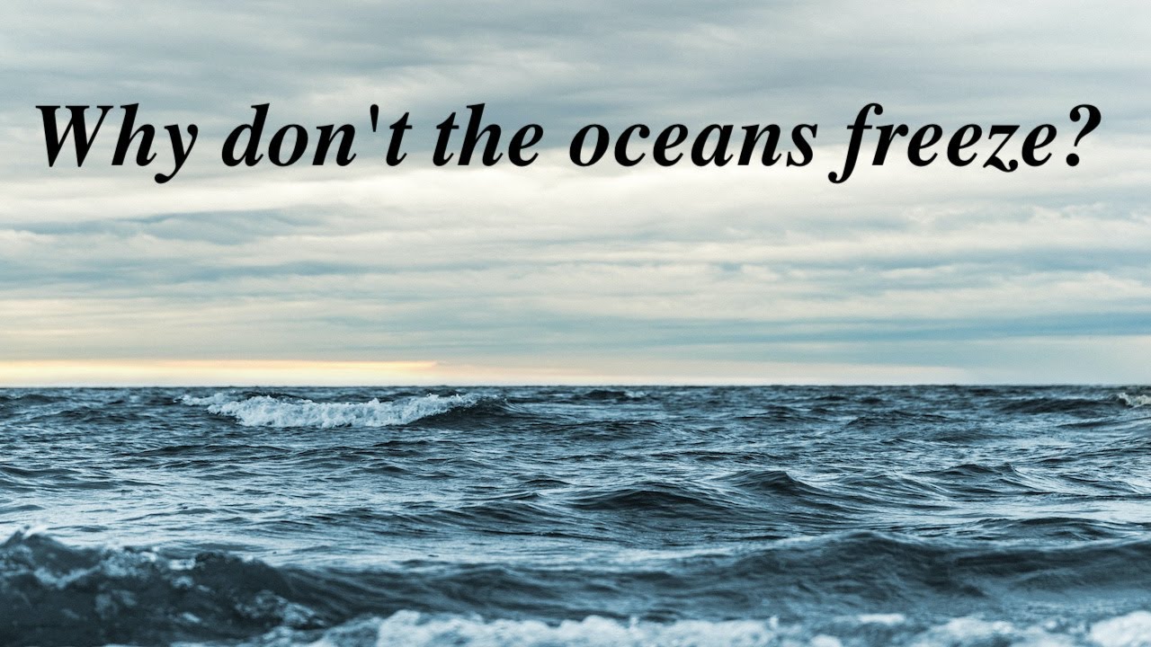 Why don't the oceans freeze? #ocean - YouTube