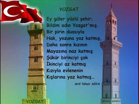 Bir deli sevdanın içine düştüm Biliyorum ziyan olacak ömrüm Bile bile sevdi bu aptal gönlüm