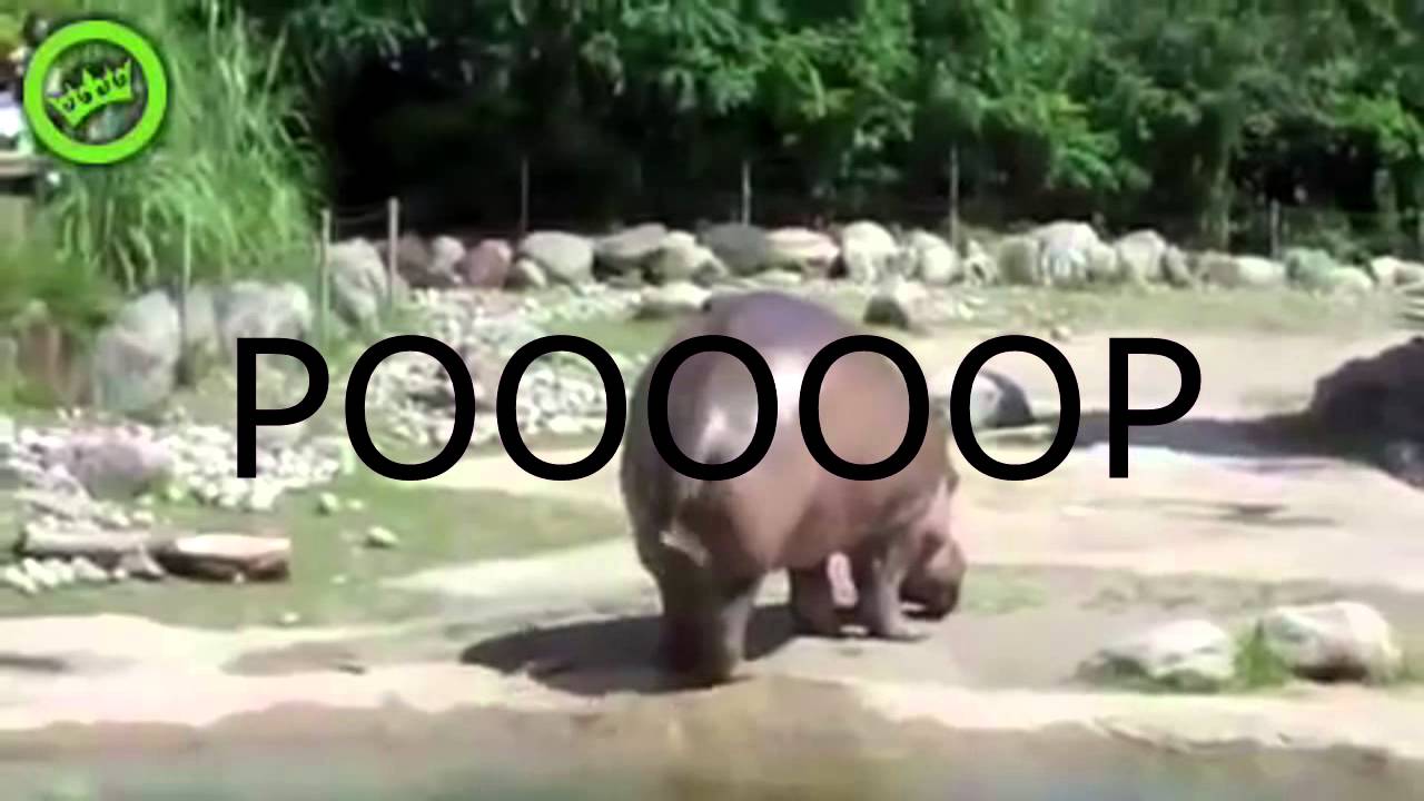 poop VERTU NOA APPCLIP #FAZE KUSH 4 PRESIDENT PLS - YouTube