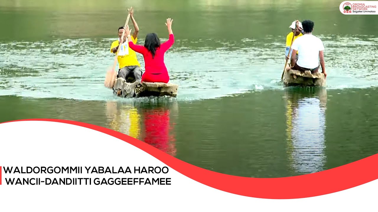Waldorgommii Yabalaa Haroo Wancii-Dandiitti gaggeeffameen Garee kamtu ...