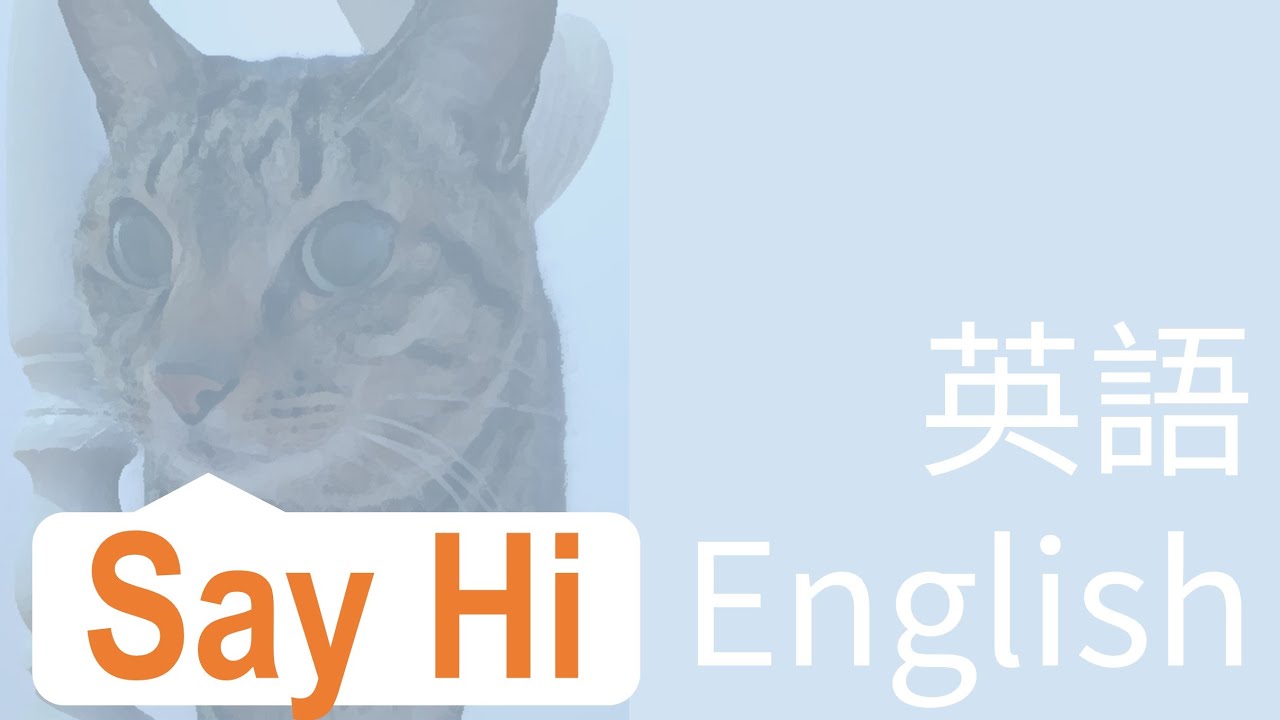 Cat Say Hi #3 | Greeting | English | Baby learning - YouTube