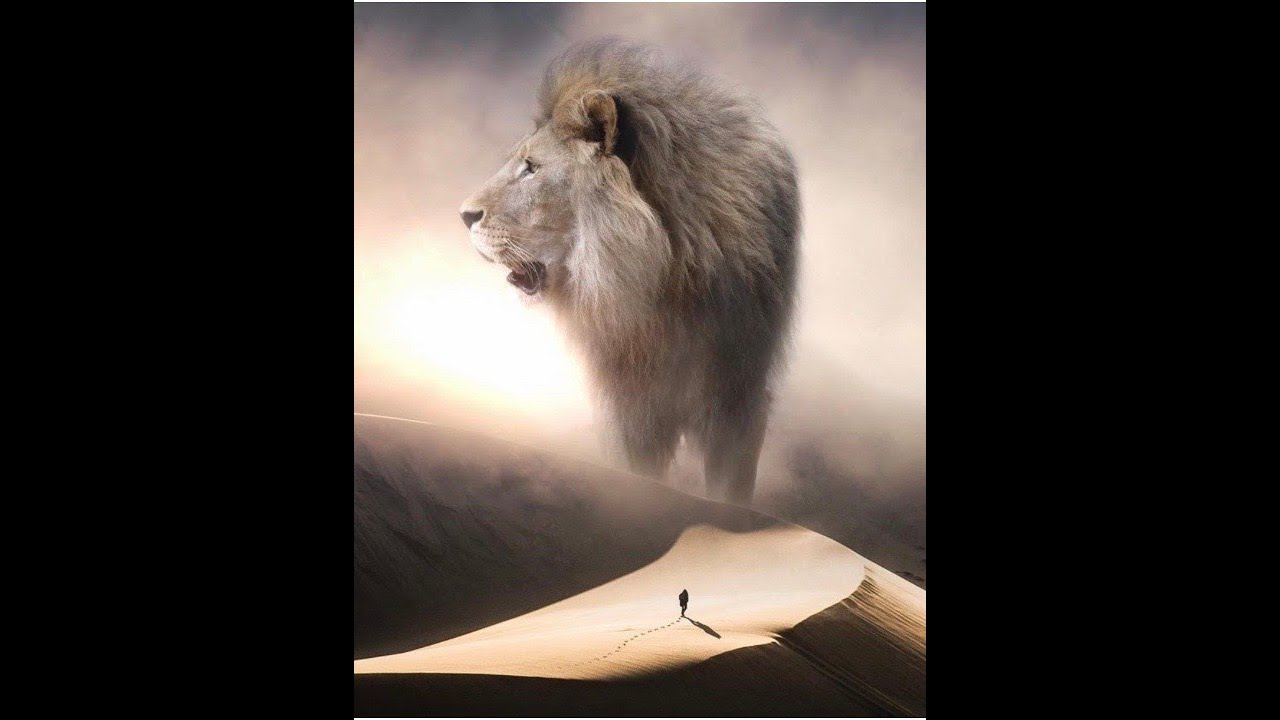 DWR Official Promo - YouTube