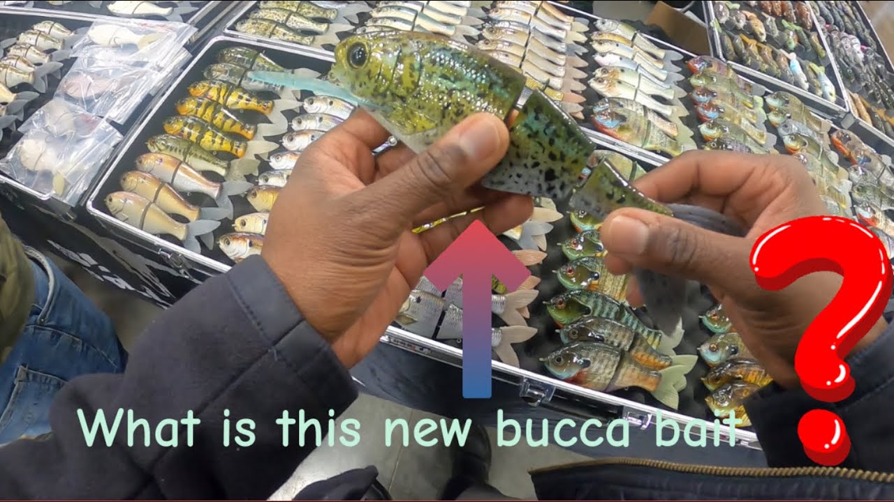NEW BUCCA BAIT DESIGN is FIRE 🔥 at the RICHMOND EXPO - YouTube