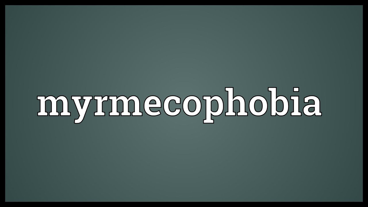 Myrmecophobia Meaning - YouTube
