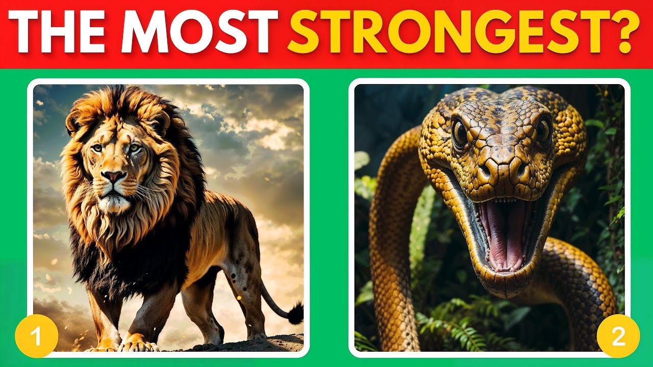 5 Hidden Secrets of WILD ANIMALS You Never Knew🦁 Animals Knowledge Quiz ...