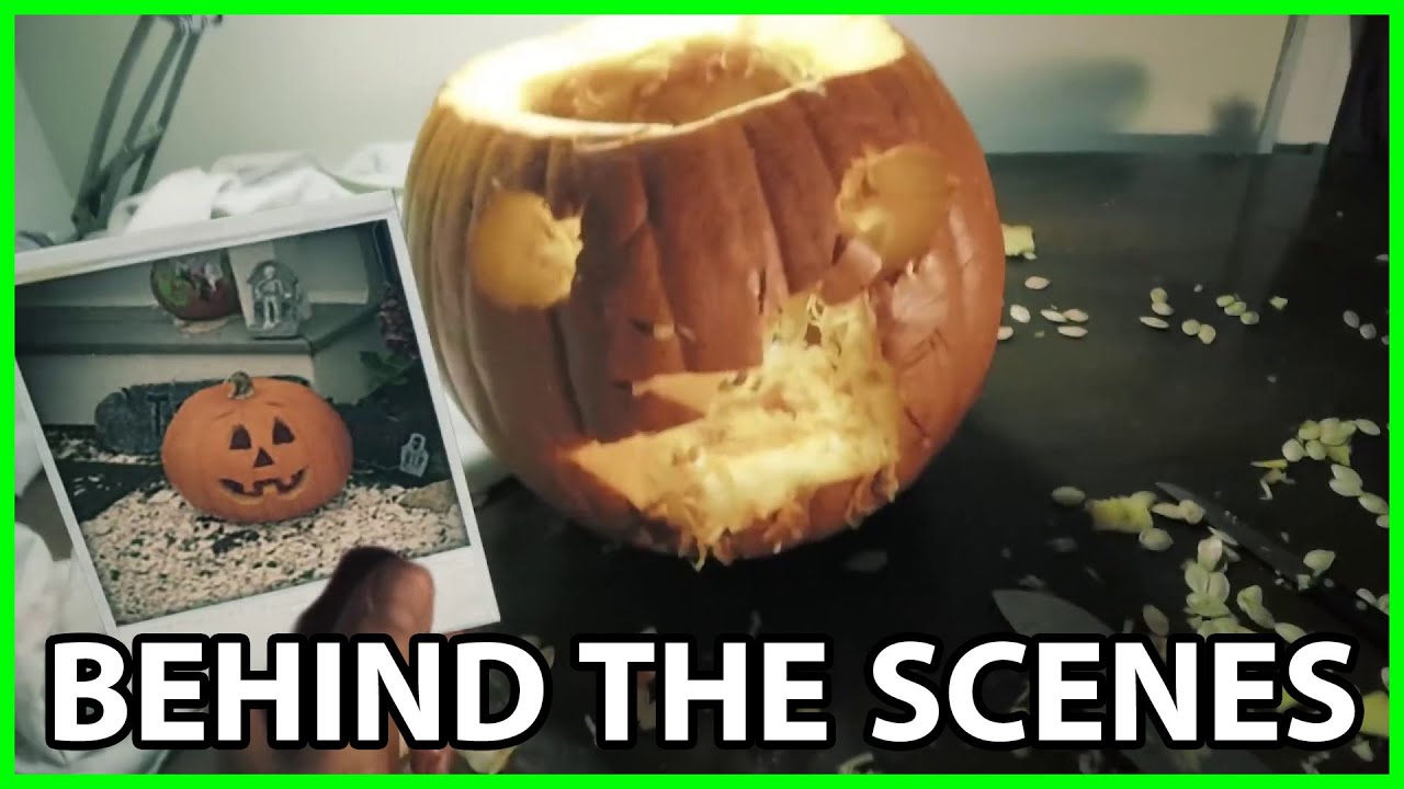 Hunting Pumpkins to Extinction | "Carving a Pumpkin" - Behind the ...
