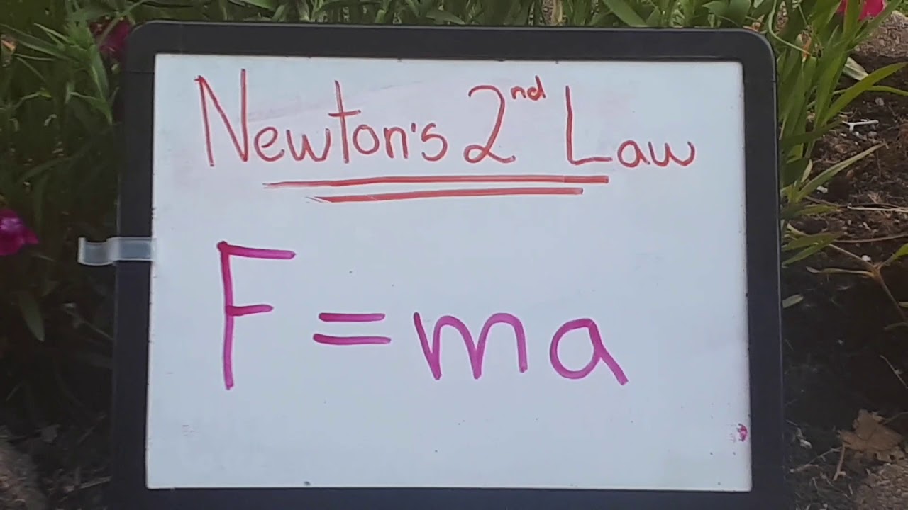 Real life Examples of Newton's Three Laws of Motion - YouTube