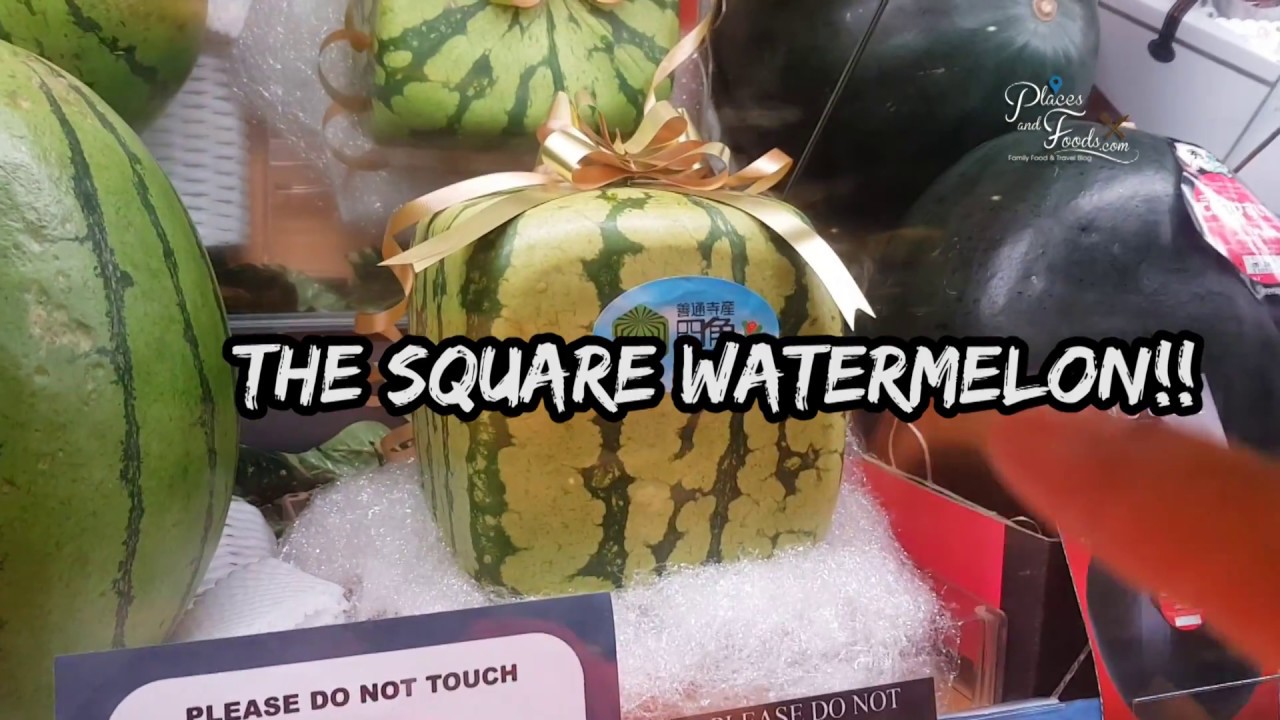 US$500 Dollar Japan Square Watermelon in Malaysia - YouTube