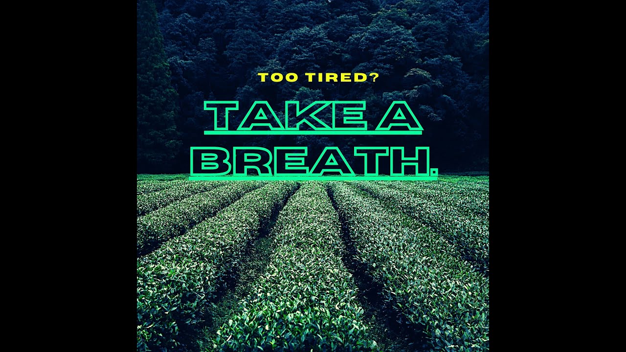 Amazing Visual Loops Compilation 4K By VISUALDON - YouTube