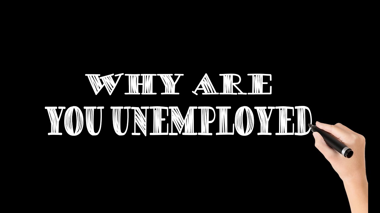 wha are you unemployed ? animation cartoon video - YouTube