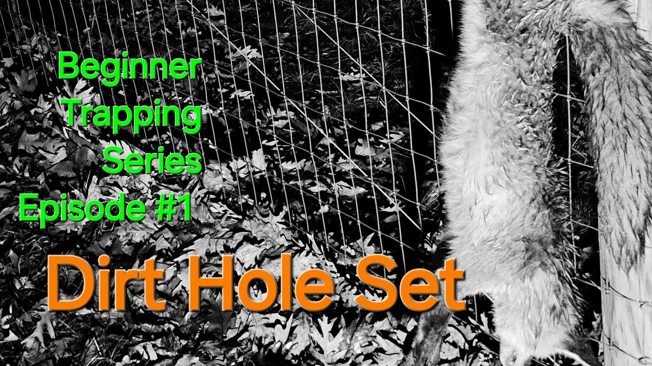 Beginner Trapping Series Episode #1 Making a (DIRT HOLE SET). - YouTube