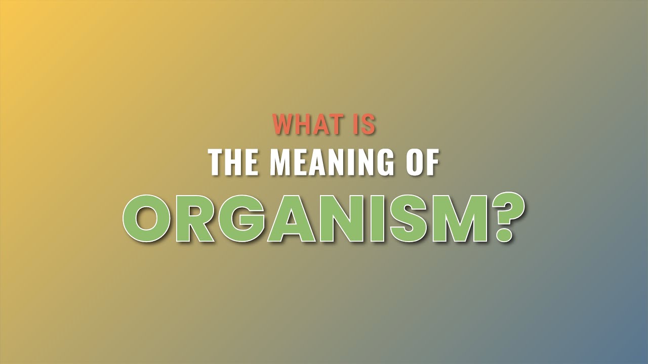What is the meaning of Organism? - YouTube
