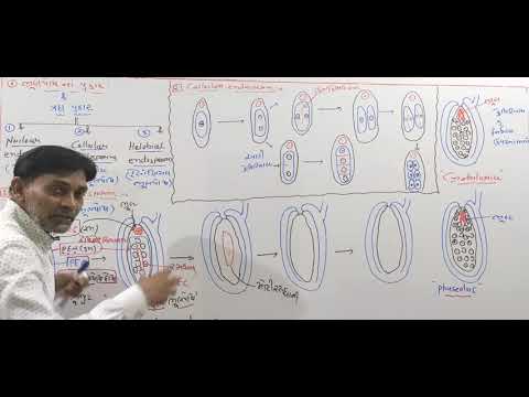 Std 12 biology chap-2 part-14 - YouTube