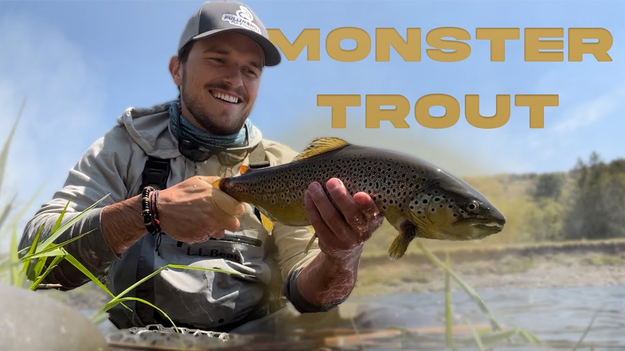 Monster Brown Trout in The Catskills - YouTube