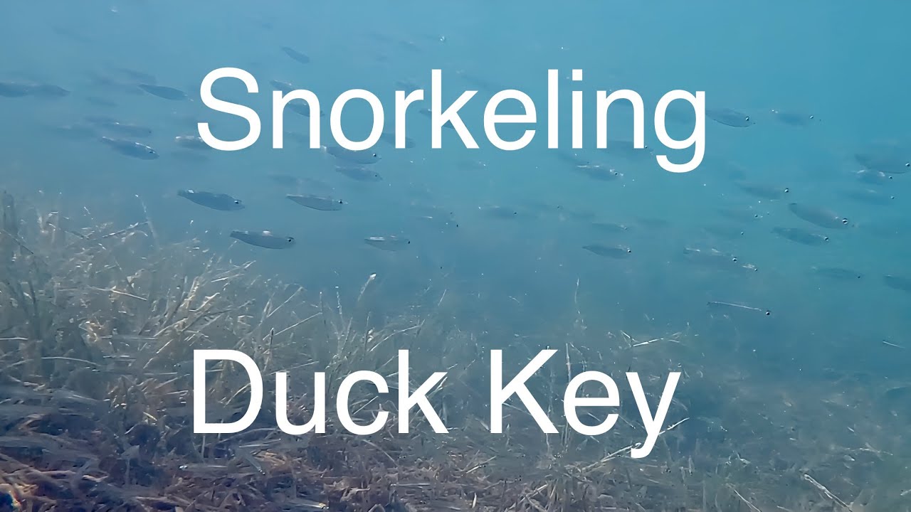 "Exploring the Underwater World of Duck Key in the Florida Keys ...