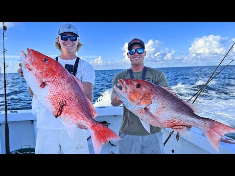 Red Snapper Fishing In The Gulf Of Mexico! (GIANTS) - YouTube