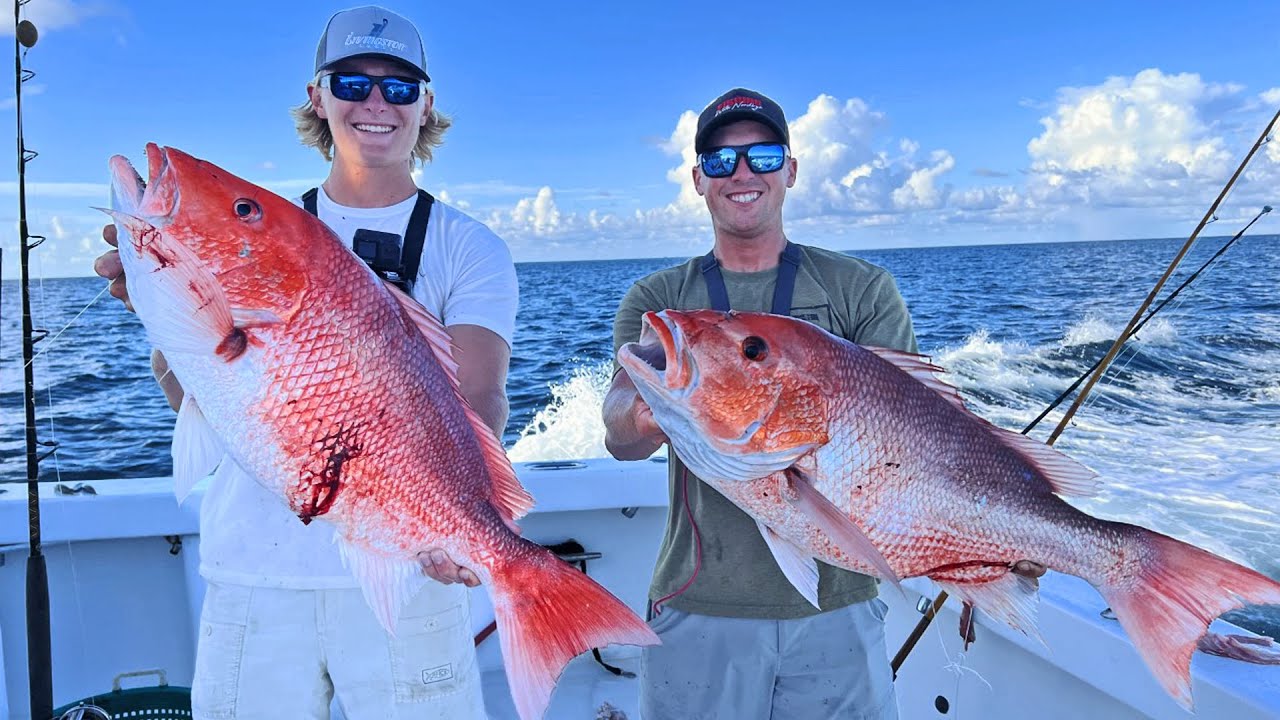 Red Snapper Fishing In The Gulf Of Mexico! (GIANTS) - YouTube