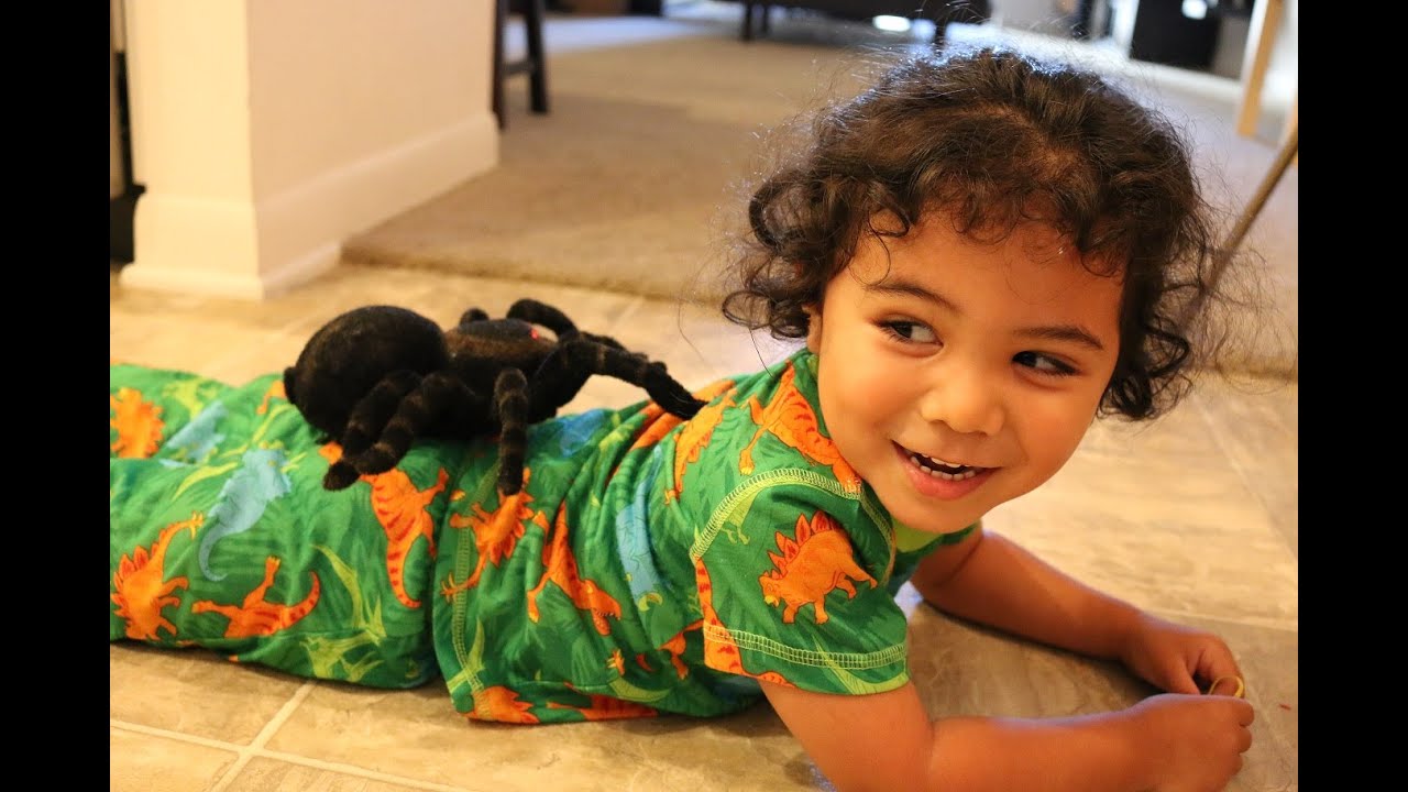 Giant Spider for Kids | Toys & More - YouTube