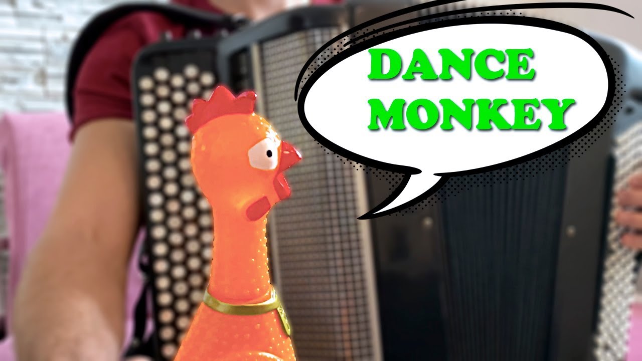 Tones and I - DANCE MONKEY | Chicken and Accordion Cover - YouTube