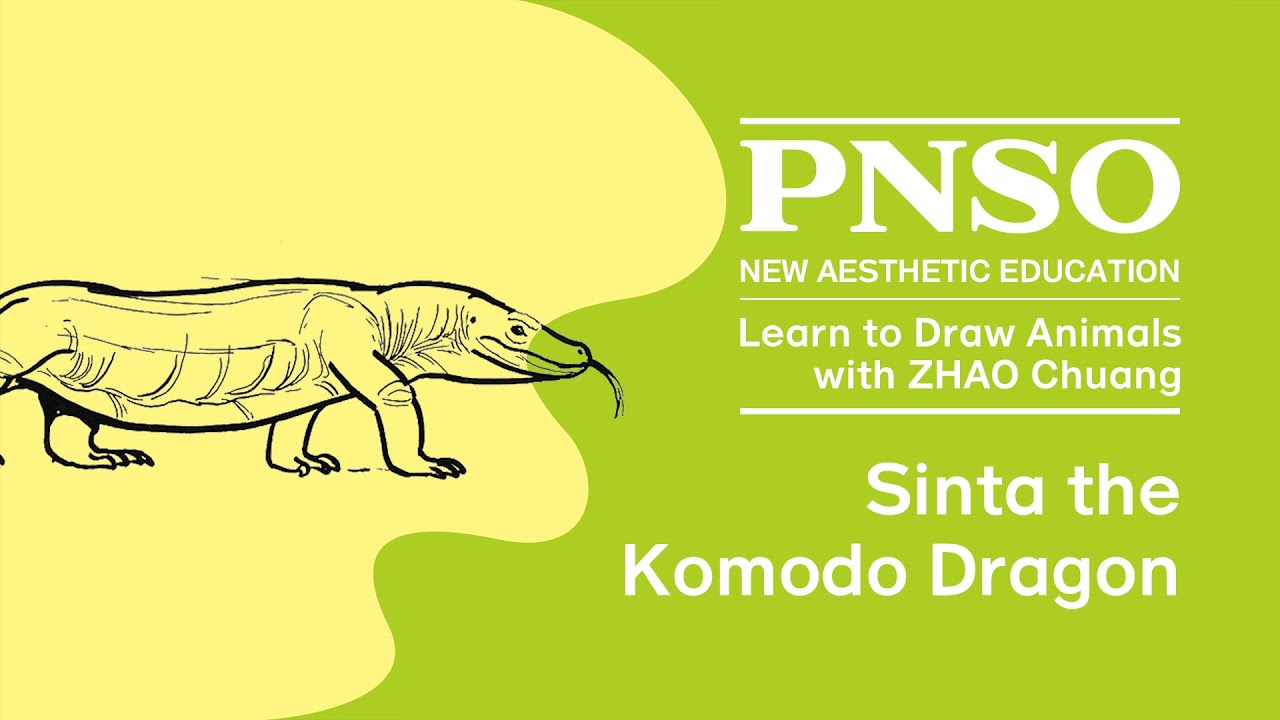018 Sinta the Komodo Dragon | Learn to Draw Animals with ZHAO Chuang ...