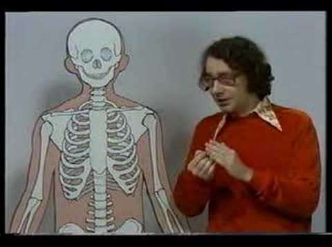 Maten & Kroppen - Intro