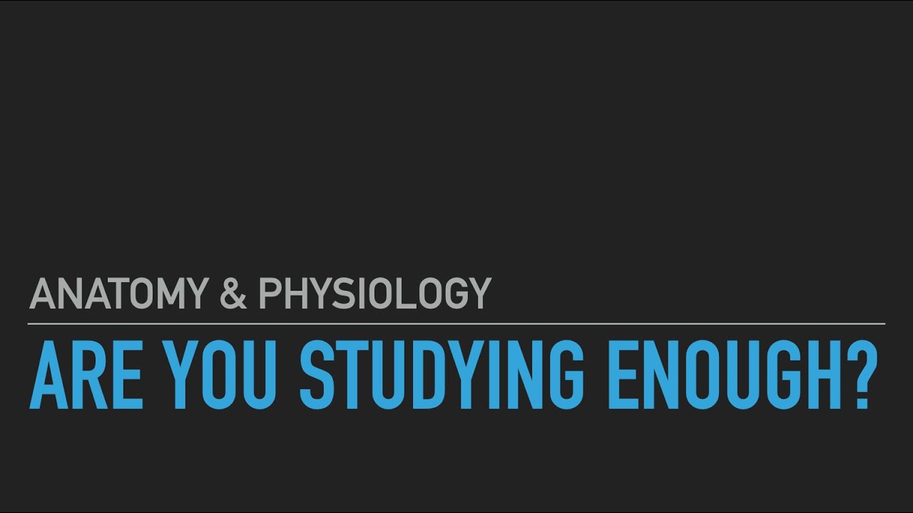 Study Time Required For Anatomy Physiology YouTube study-time-required-for-anatomy-physiology-youtube