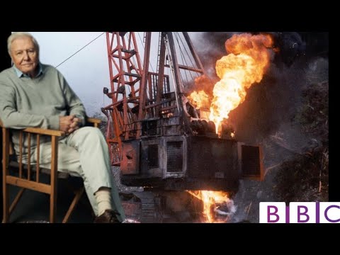 High Lead Logging - Explained by Sir David A(I)ttenborough - YouTube